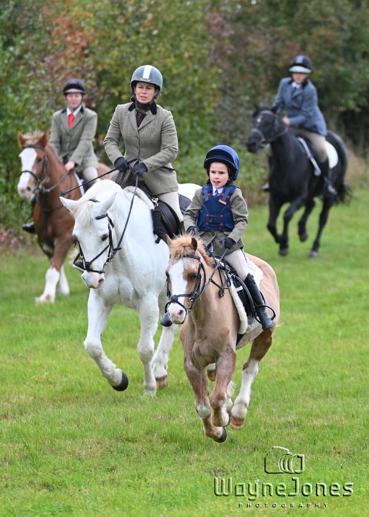 Hamilton Stables – Compton